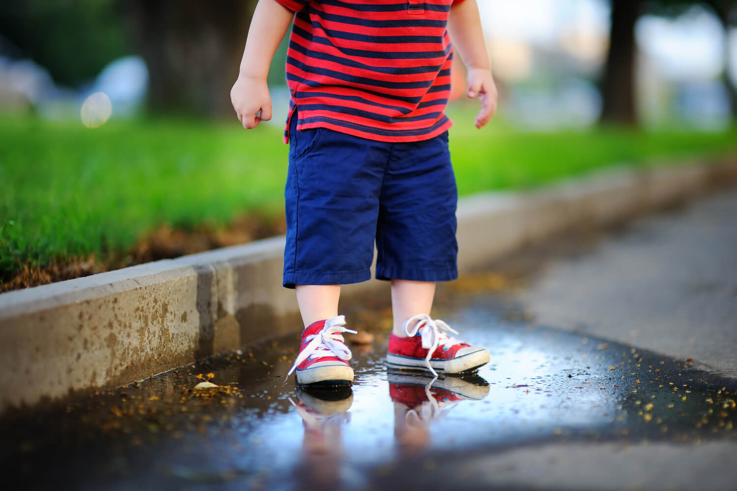My Toddler Refuses To Walk. What Can I Do? - Being The Parent